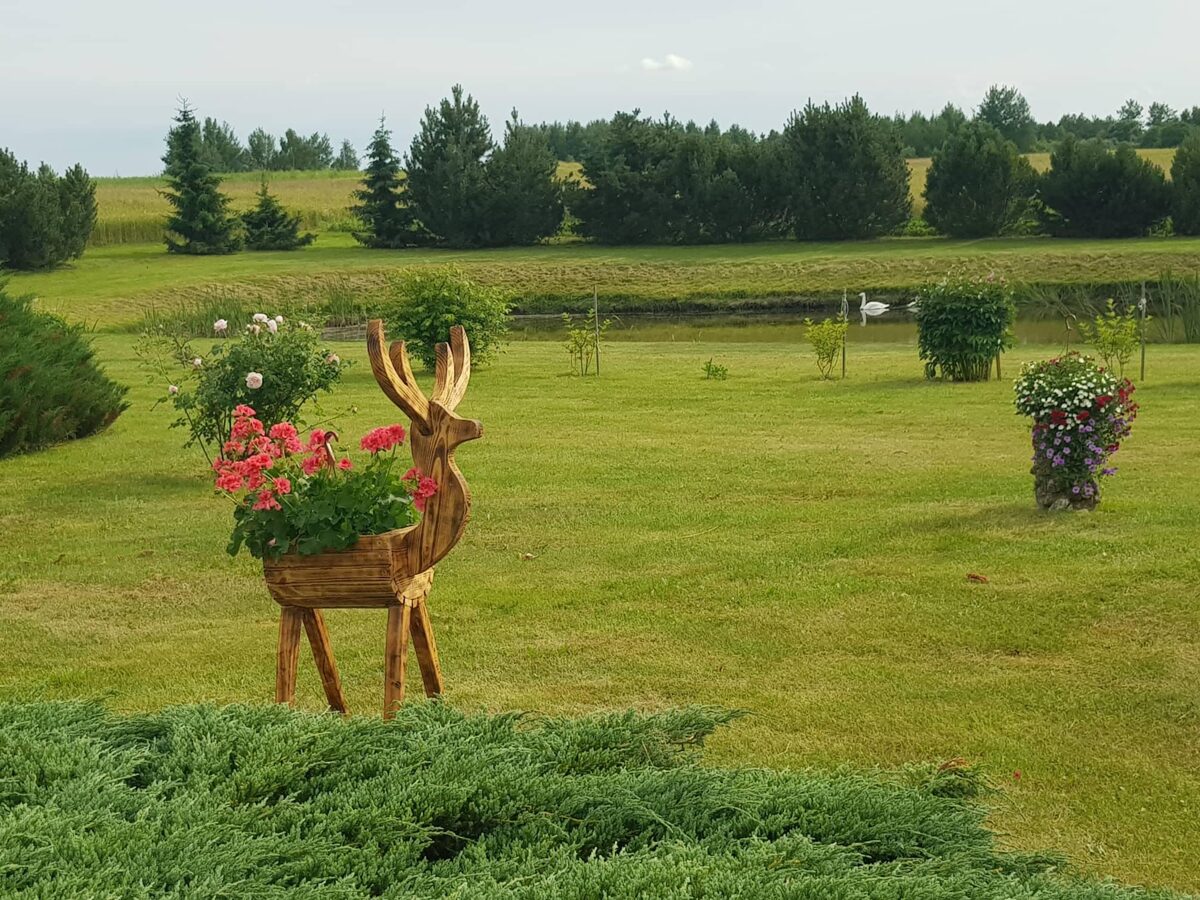 Mediniai elniai - Mediniai elniai - gėlynės - Parduotuvė - Vilkijos ...