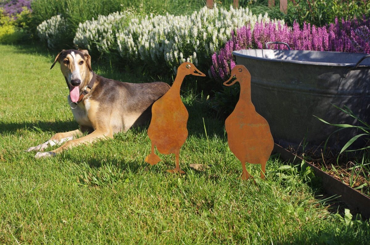 Antys bėgikės porelė - Sendinto metalo gaminiai - Parduotuvė - Vilkijos ...