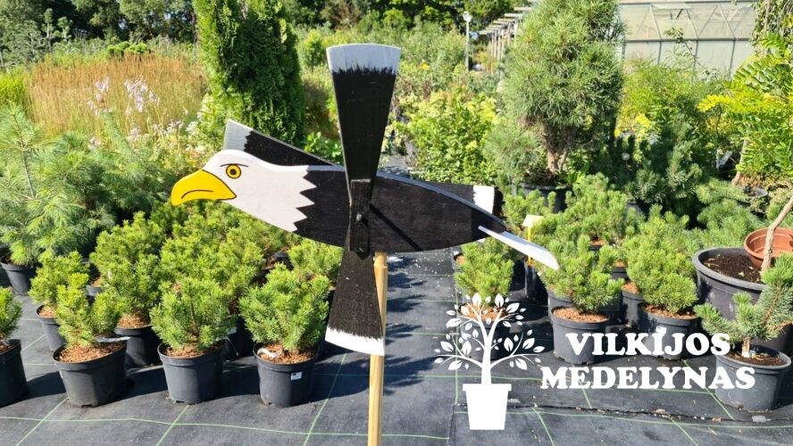 Vėjo malūnėlis Erelis - Mediniai vėjo malūnėliai - Parduotuvė ...